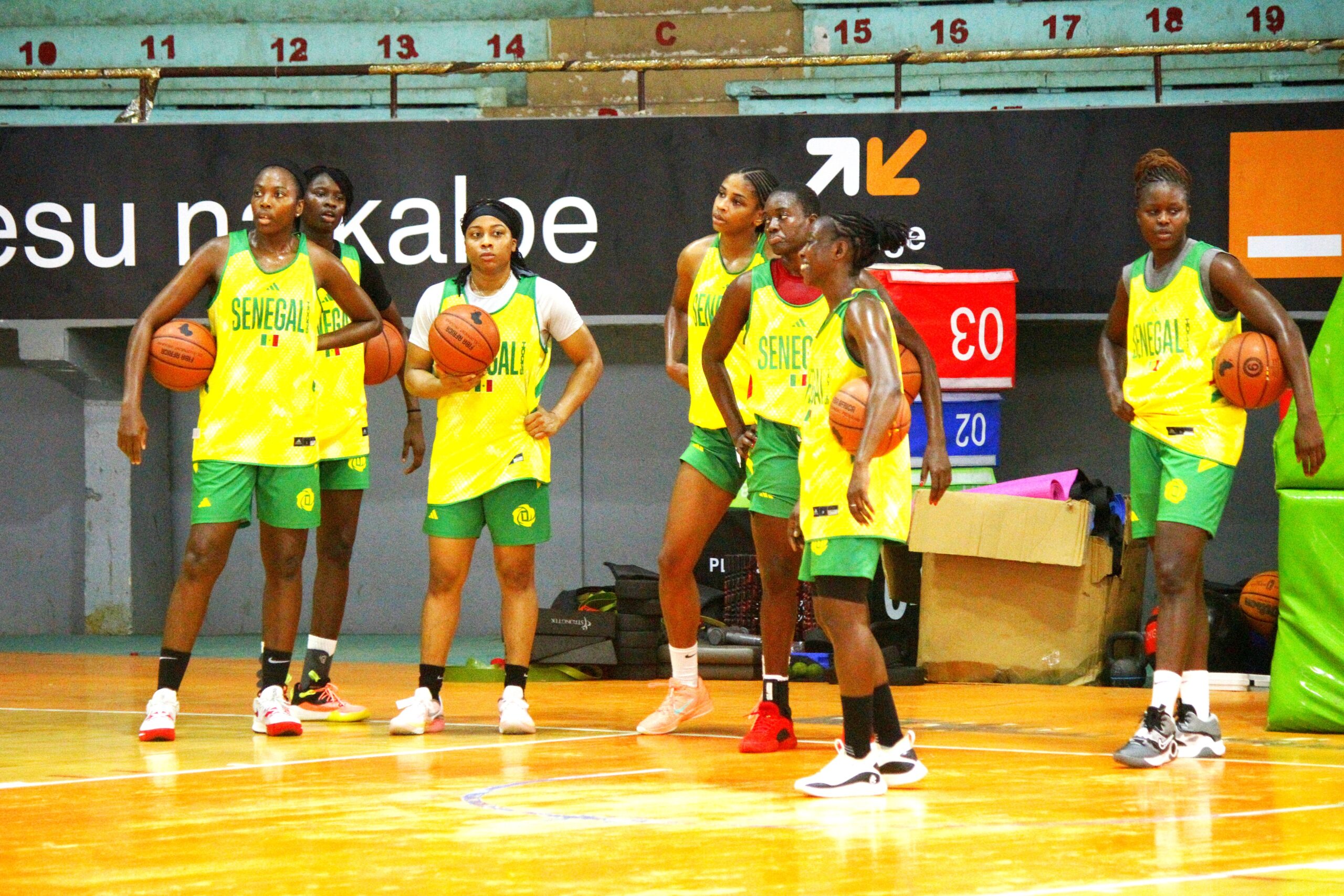 Afrobasket féminin 2023 : la liste des Lionnes connue ce mercredi - Basket 221